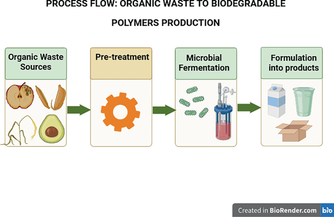 Harnessing Organic Waste for Biodegradable Polymer Production: A Green ...