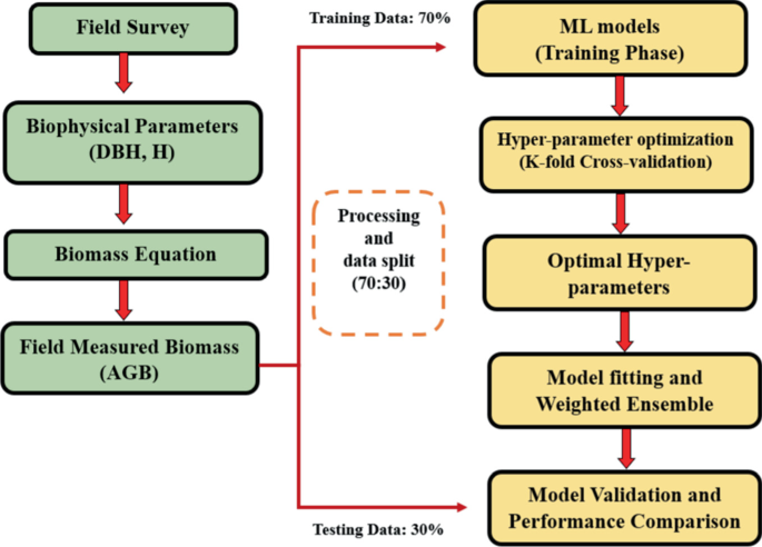 Machine Learning Approach for the Above Biomass Estimation of Long Leaf ...