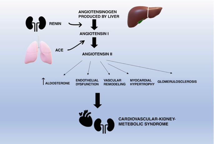 Epidemiology and Risk Factors in Cardiovascular-Kidney-Metabolic ...
