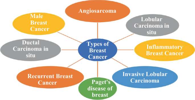 Diagnosis of Breast Cancer by Using Deep Learning Techniques: A Review ...