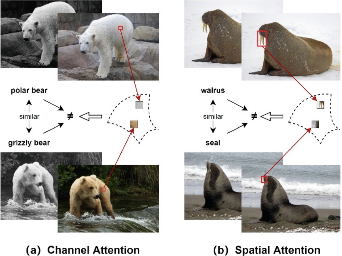 Zero-Shot Recognition by Using Attention Mechanism | Springer Nature Link