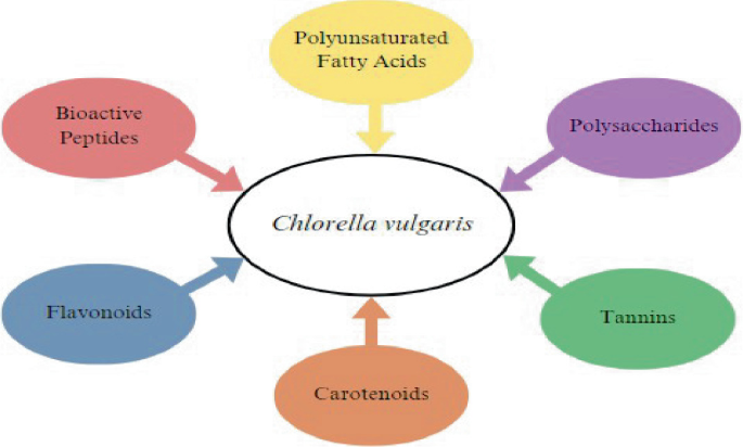 Antidiabetic Properties of Chlorella Vulgaris: A Systematic Review ...