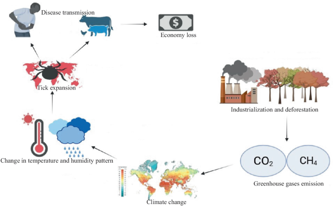 Introduction: Ticks in a Changing Climate | Springer Nature Link