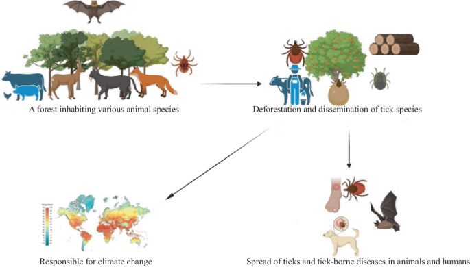 Introduction: Ticks in a Changing Climate | Springer Nature Link