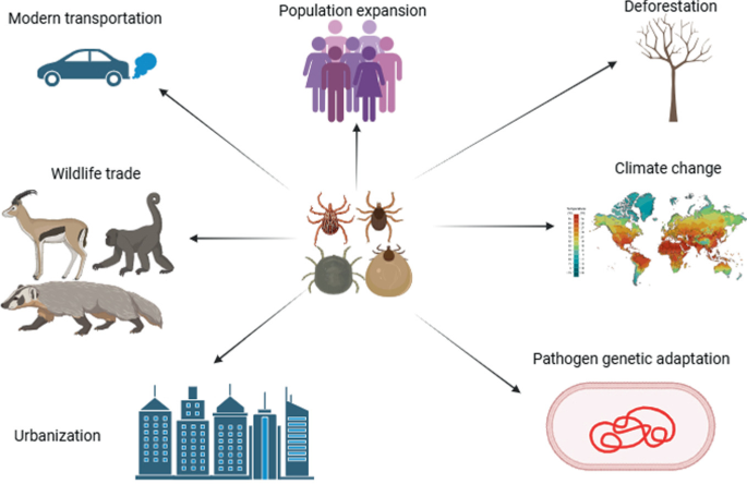 Emerging Zoonotic Threats: Climate, Ticks, and Disease Transmission ...