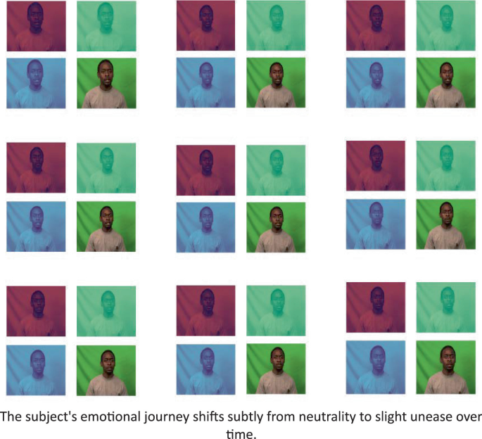 A Framework for Emotional Transition Detection | Springer Nature Link