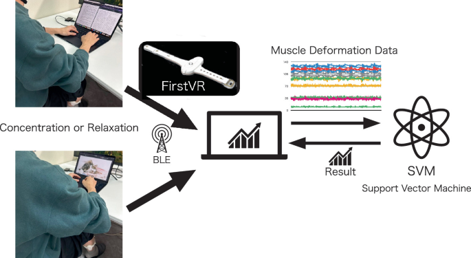 Muscle-Based Monitoring System for Classifying Human Concentration and ...