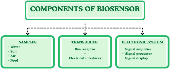 Whole-Cell-Based Biosensors for Detection of Environmental Pollutants ...