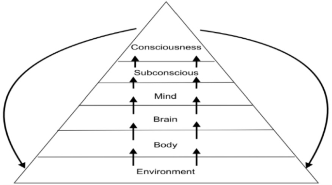 A Probabilistic Framework for Understanding Consciousness: The ...