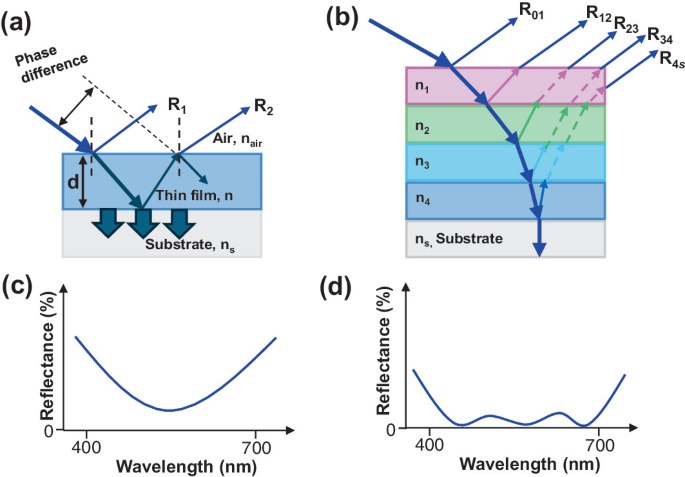 Human Visual Perception and Fundamental Optical Principles Related to ...