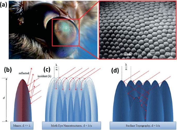 Practical Applications of Anti-reflective Films in Electronic Displays ...