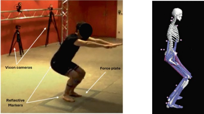 Did the Squat Effectively Strengthen the Gluteal Muscles ...