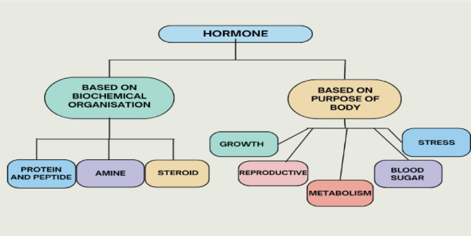 Smart Hormone Monitoring: Sensors, Wearables and AI Powered Detection ...