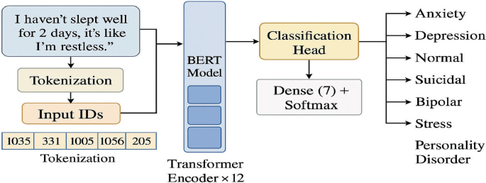 BERT-Based Text Classification Pipeline for Categorising Mental Health ...