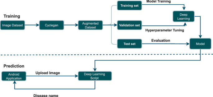 A Coherent Solution of Dataset Crisis Using GAN Based Transfer Learning ...