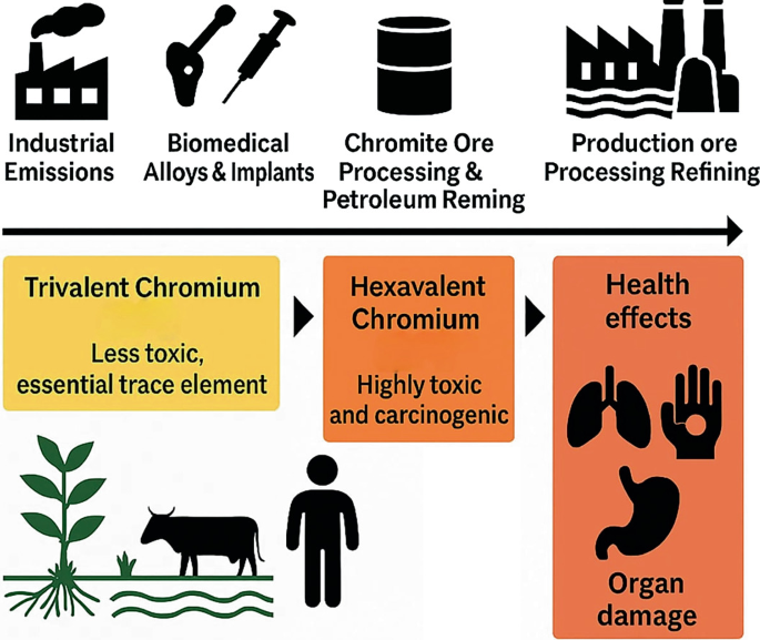 Effects of Chromium Exposure on Human Health | Springer Nature Link
