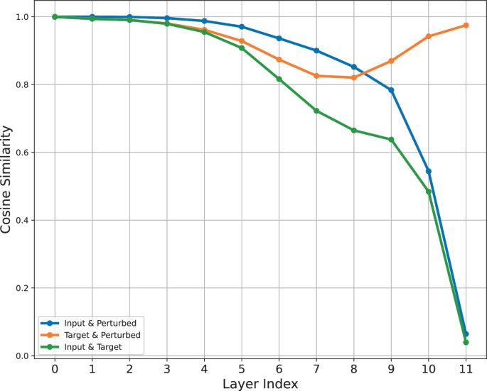 NeuroShield-ViT: Mechanistic Understandings of Representation ...