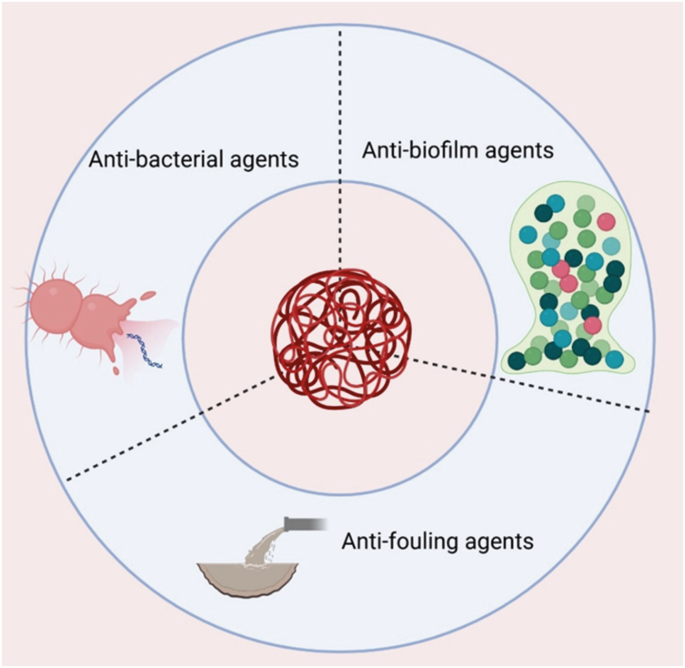 Nanozymes in Bacterial Infection | Springer Nature Link