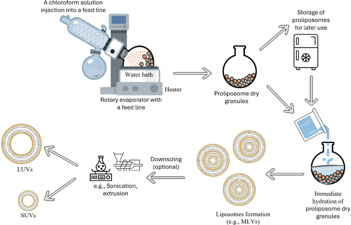 Manufacturing Strategies for Liposome and Proliposome-Based Drug ...