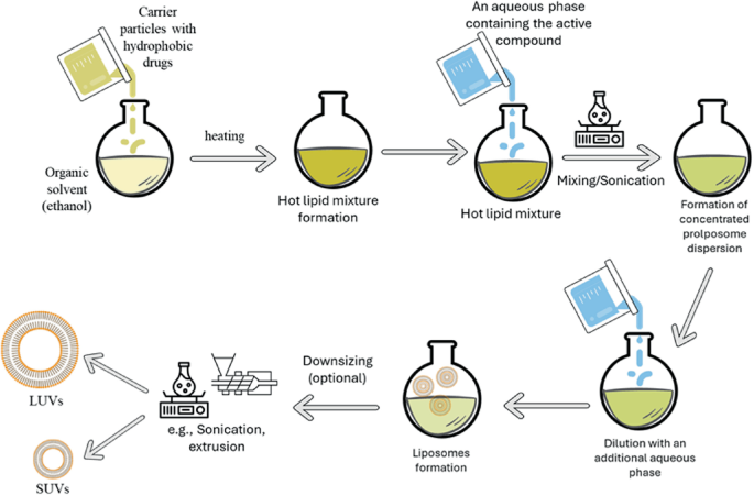 Manufacturing Strategies for Liposome and Proliposome-Based Drug ...
