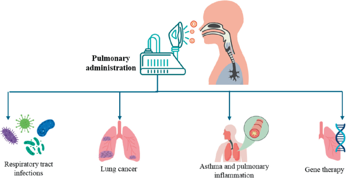 Therapeutic Applications of Proliposomes in Pulmonary Drug Delivery ...