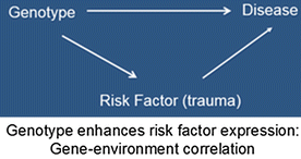 Gene Environment Interplays: Why PTSD Makes a Good Case for Gene ...