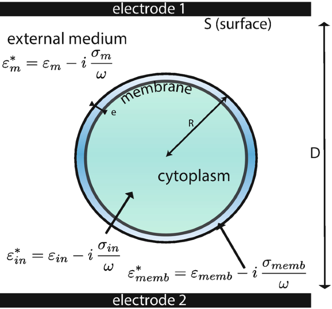 Electrical Characterization Techniques of the Single Cell ...