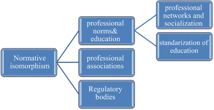 Normative Isomorphism in Bureaucratic Institutions | SpringerLink