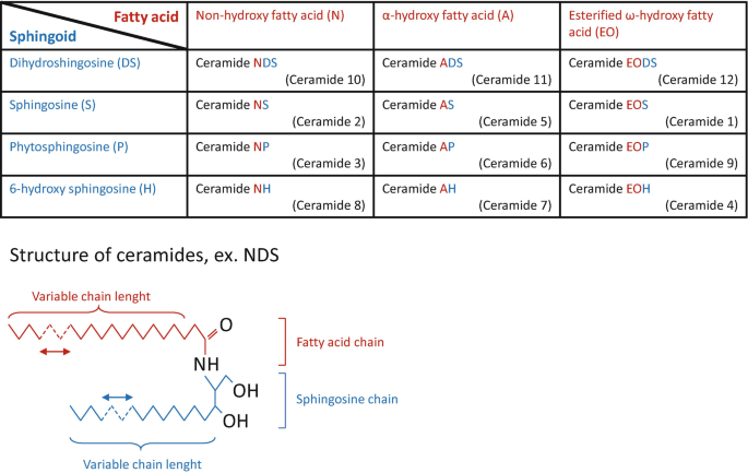 Emollients: Effects, Evidence, and Side Effects | SpringerLink