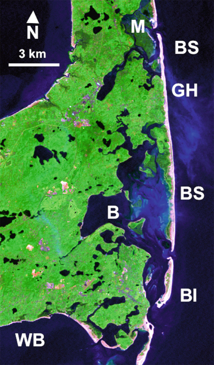Barrier Island Landforms | SpringerLink