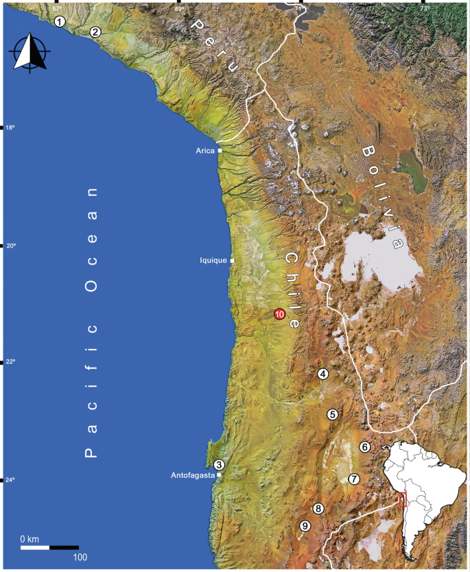 Early Peopling of the Atacama Desert | SpringerLink