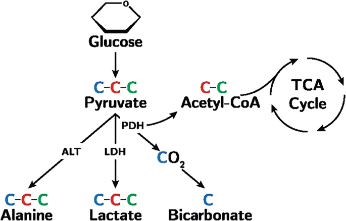 Stimmler Syndrome | SpringerLink