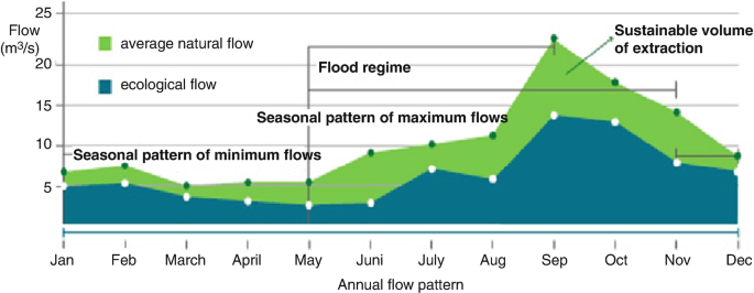 Environmental and Ecological Flows for Sustainability | SpringerLink