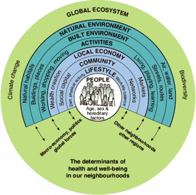 Impacts on Environment and on Human Health | Springer Nature Link