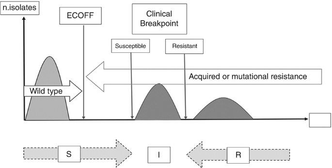 The Antibiogram: From MIC to Breakpoints | SpringerLink