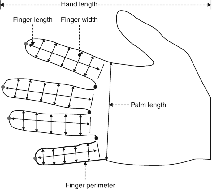 Hand Geometry Recognition | SpringerLink