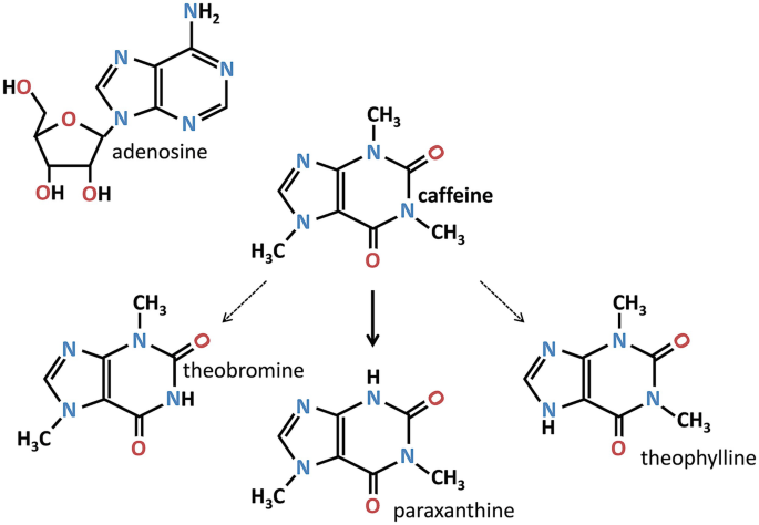 Caffeine | SpringerLink