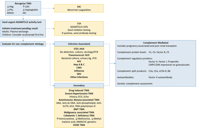 Thrombotic Thrombocytopenic Purpura, Atypical Hemolytic Uremic Syndrome ...