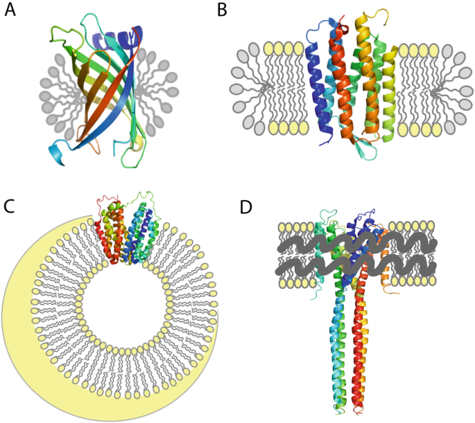 Membrane Proteins: Folding and Stability | Springer Nature Link