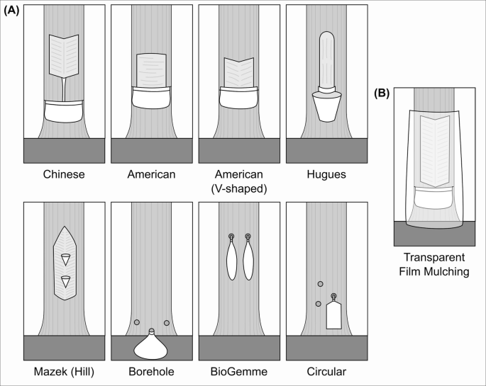 Oleoresins from Pine: Production and Industrial Uses | Springer Nature Link