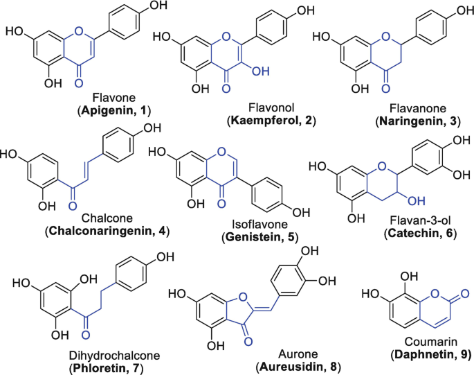 Recent Advances and Their Pharmacological Practices on Minor Flavonoids ...