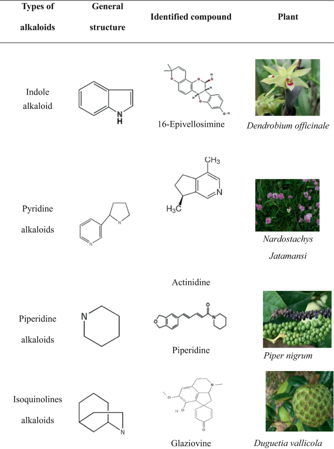 Alkaloids of Nardostachys jatamansi | SpringerLink