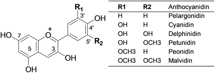 Anthocyanins | SpringerLink