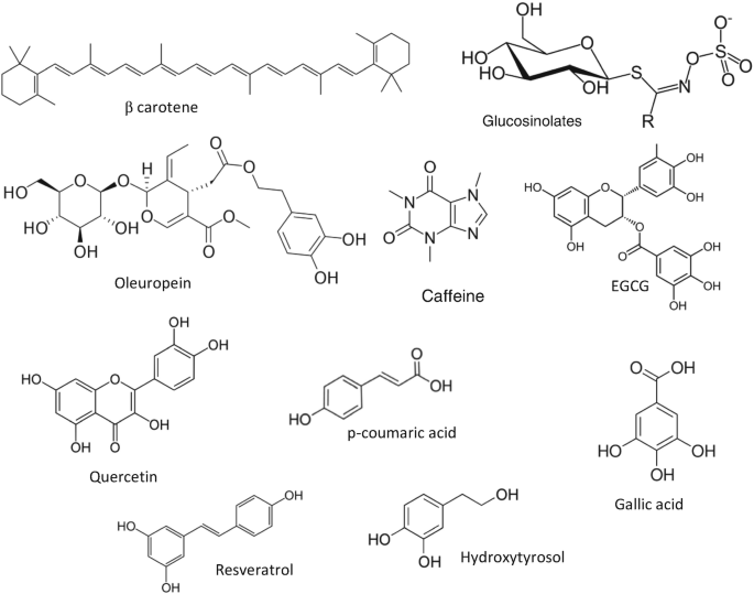 Nutraceuticals and Antioxidants in Prevention of Diseases | SpringerLink