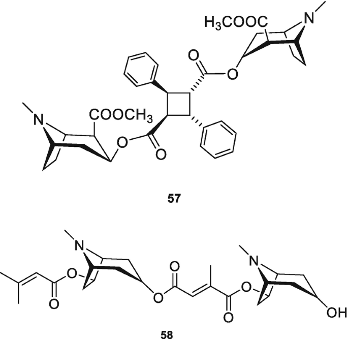 Alkaloids Derived from Ornithine: Tropane Alkaloids | SpringerLink