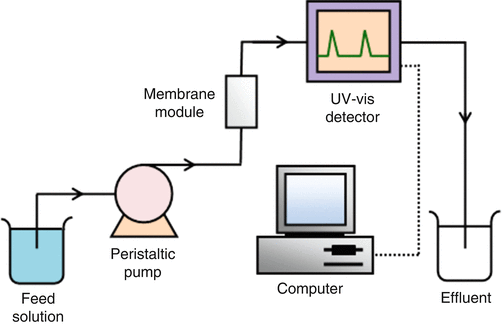 Affinity Membranes for Adsorptive Separation Process | SpringerLink