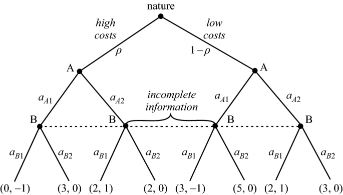 Incomplete Information | Springer Nature Link (formerly SpringerLink)