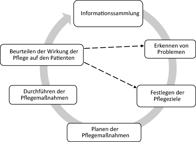 Der Pflegeprozess als Handlungsmodell für das Berufsfeld Pflege ...
