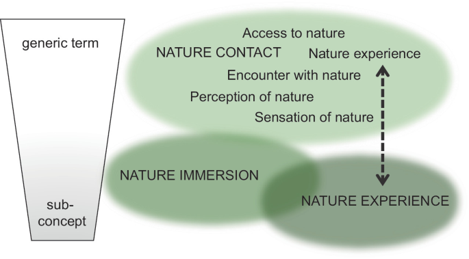 Nature Experience and Similar Terms—Definitions and Approaches ...