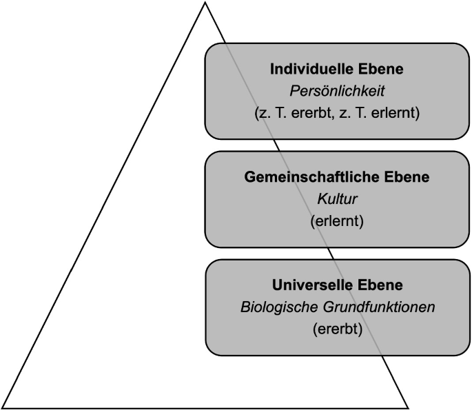 Kulturdimensionen nach Hofstede | SpringerLink